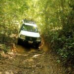 Barron Gorge and Kuranda National Park Half Day Rainforest and Waterfall 4WD Tour from Cairns - The Detailed Itinerary: What You’ll See and Do