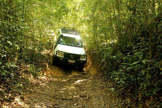 Barron Gorge and Kuranda National Park Half Day Rainforest and Waterfall 4WD Tour from Cairns - The Detailed Itinerary: What You’ll See and Do