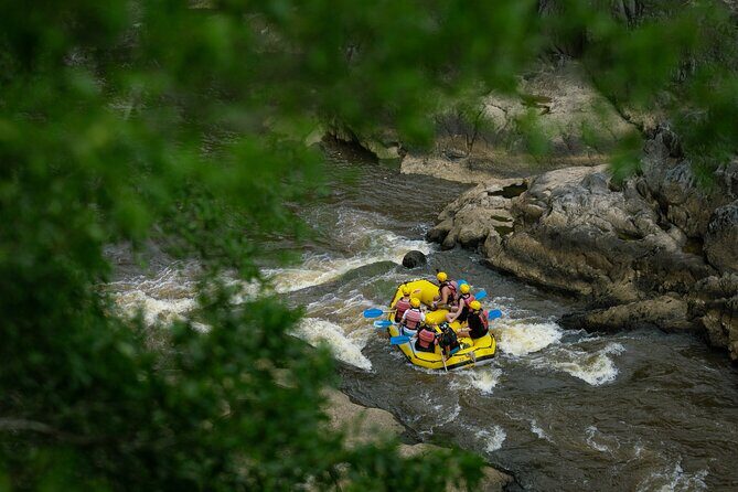 Barron River Half-Day White Water Rafting Cairns or Port Douglas - The Sum Up