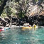 Batemans Bay Glass-Bottom Kayak Tour Over 2 Relaxing Hours - Who Will Love This Tour?