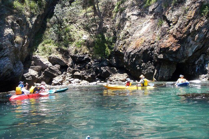 Batemans Bay Glass-Bottom Kayak Tour Over 2 Relaxing Hours - Who Will Love This Tour?