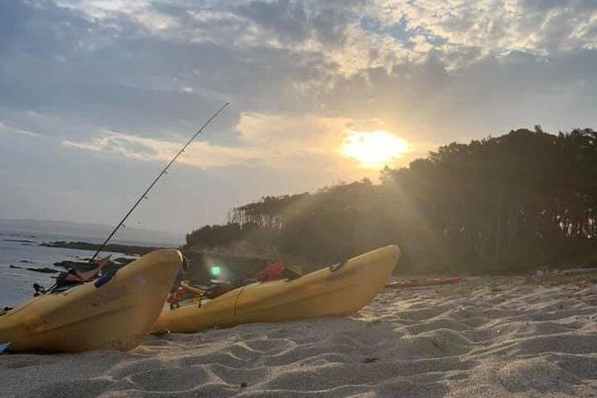 Batemans Bay Overnight Kayak Camping Tour from Canberra - All Inclusive - Final Thoughts: Is It Worth It?