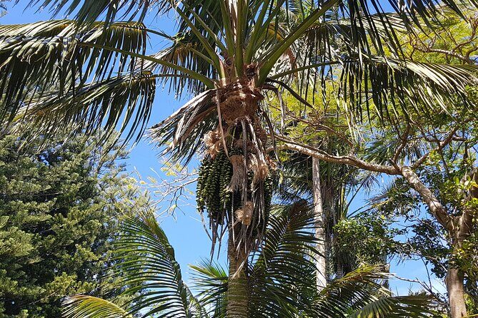 Bauntis Farm and Industry Tour in Norfolk Island - Who is this tour best for?