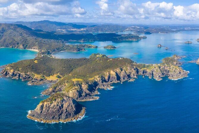 Bay of Island Day Tour with Hole in the rock cruise from Auckland - Authentic Experiences and Tips