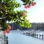 Bay of Islands: 1 Hour Scenic Bay of Islands Tour - Detailed Review of the Bay of Islands Scenic Tour