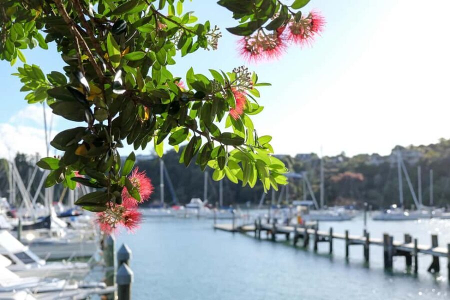 Bay of Islands: 1 Hour Scenic Bay of Islands Tour - Detailed Review of the Bay of Islands Scenic Tour
