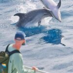 Bay of Islands: Discover the Bay Cruise with Island Lunch - Final thoughts