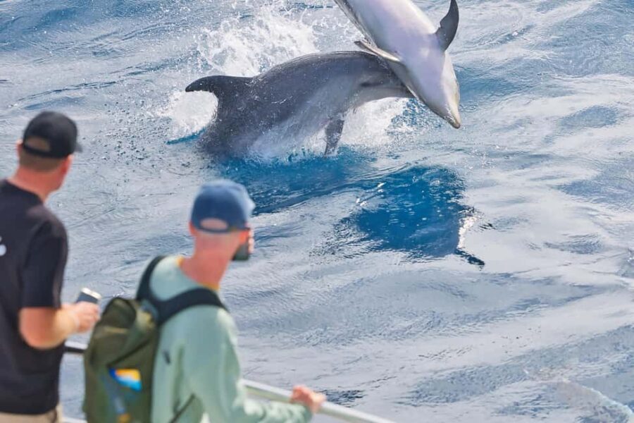 Bay of Islands: Discover the Bay Cruise with Island Lunch - Final thoughts