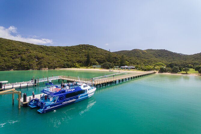 Bay of Islands Discovery Experience from Auckland incl. Hole In The Rock Cruise - What Makes This Tour Stand Out?