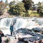 Bay of Islands Glow Worm Caves & Scenic Shore Excursion - Who Should Consider This Tour?