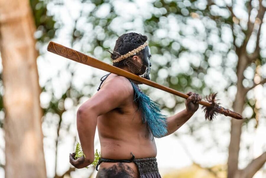Bay of Islands HOLE IN THE ROCK & WAITANGI TREATY GROUNDS - Is It Worth the Price?