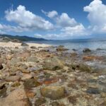 Bay Rock Tour Townsville - Practical Details and Tips