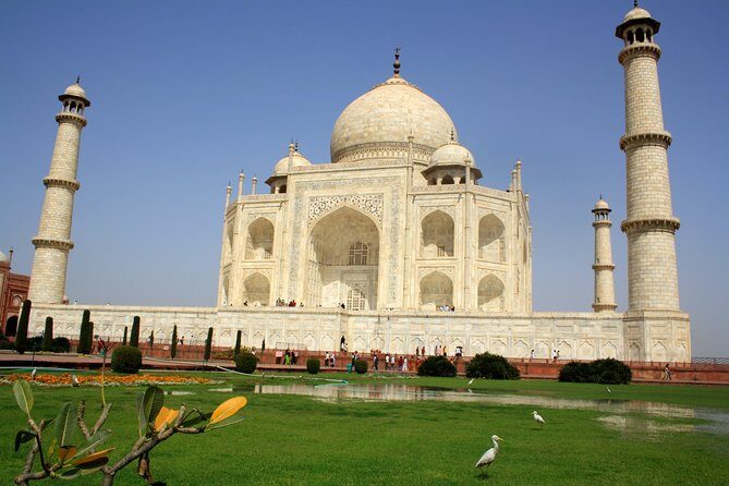 Bear Rescue Center and Wonderful Taj Mahal - Why We Think This Tour Works