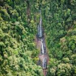 Beautiful Daintree Waterfall Walk, Magical Swim & Heavenly Lunch - The Walk to the Waterfall: A Green Escape