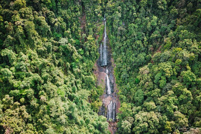 Beautiful Daintree Waterfall Walk, Magical Swim & Heavenly Lunch - The Walk to the Waterfall: A Green Escape