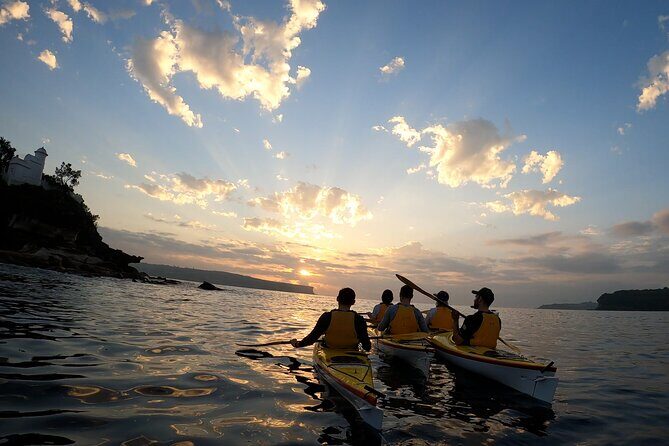 Beautiful Middle Harbour Sunriser / Guided Kayaking Private Tour - The Sum Up