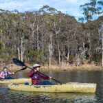 Bega River Kayaking Tour - Who Will Enjoy This Tour?