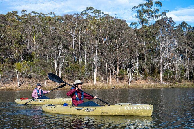 Bega River Kayaking Tour - Who Will Enjoy This Tour?
