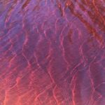 Behind The Bay - Explore Like a Local: Waterfalls/paddleboarding - Authenticity and Guide Experience