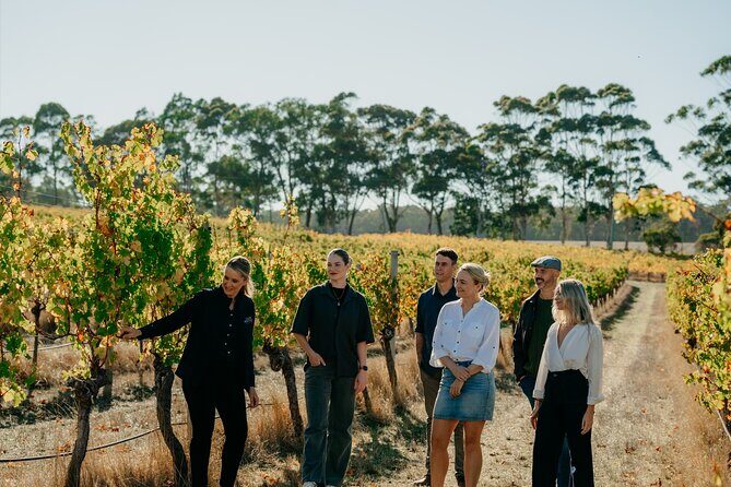 Behind The Scenes Tour with Food & Wine Pairing - Why This Tour Works for Different Travelers