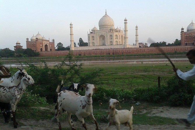 Behind the Taj Mahal with Sunrise or Sunset view by Tuk Tuk Ride - Final Thoughts