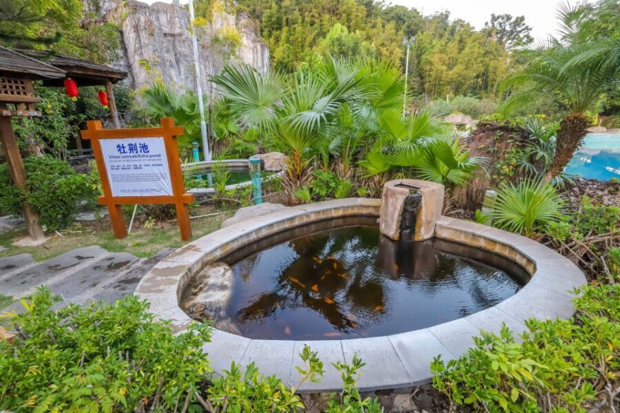 Beijing: Badaling Great Wall VIP Pass w/Optional Attractions - Final Thoughts: Is This Tour for You?