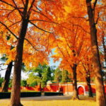Beijing: JingShan park (palace museum garden) entry ticket - Key Points