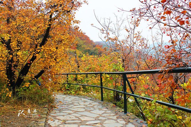 Beijing Private Tour to Summer Palace and Fragrant Hill with Cable Car Ride - Analyzing the Experience: Value and Practicality