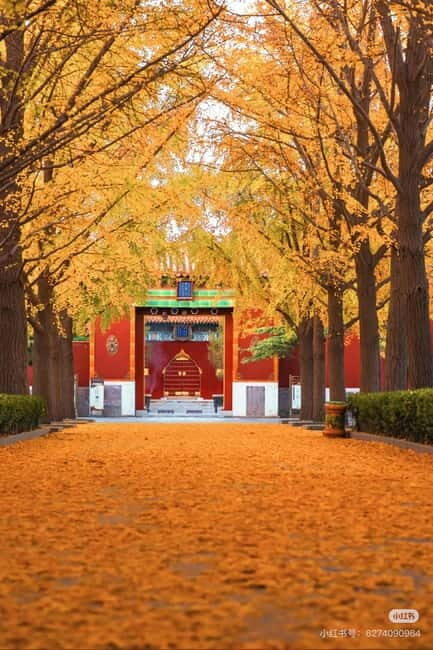 Beijing: Yonghe Lama Temple Tickets with guide (optional) - How the Tour Works and What You’ll Experience