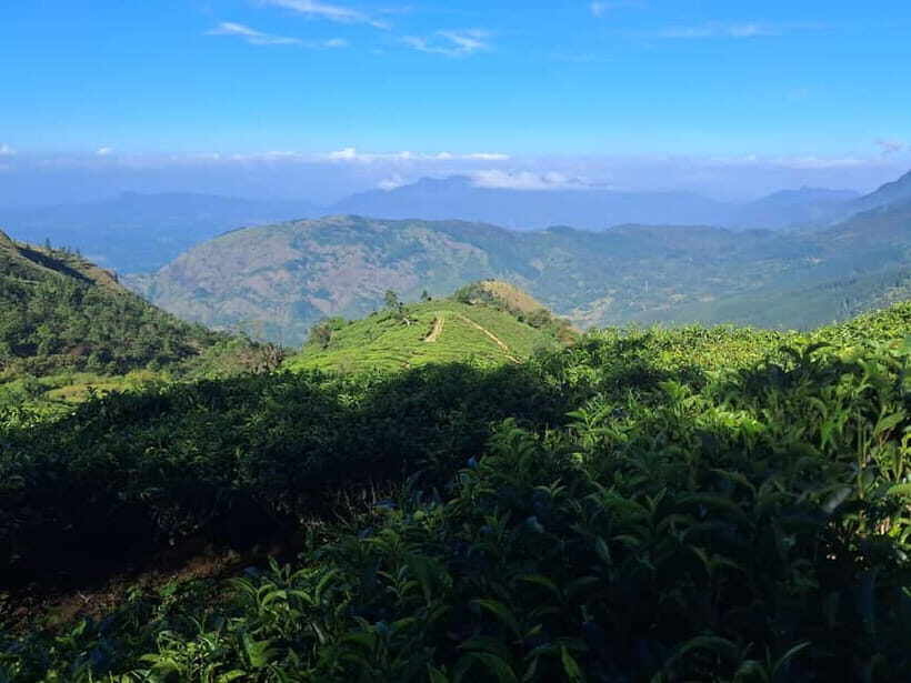 Belihuloya: Bakers Bend Hiking Trail Guided Tour - The Itinerary Breakdown
