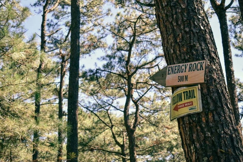 Beneath the Baguio Pines: A Classic Horse Ride - Why This Experience Offers Value