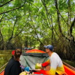 Bentota River Safari: Discover Wildlife & Mangroves by Boat - Who Will Love This Tour?