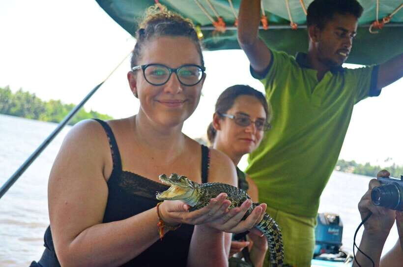 Bentota River Safari with Mangrove and Wildlife Encounter - Key Points