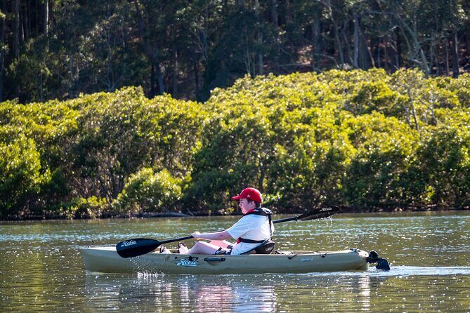 Bermagui River Kayak Tour - What You Can Expect on the Water