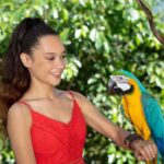 Bespoke Birdworld - An Intimate Experience! - The Value of the Experience