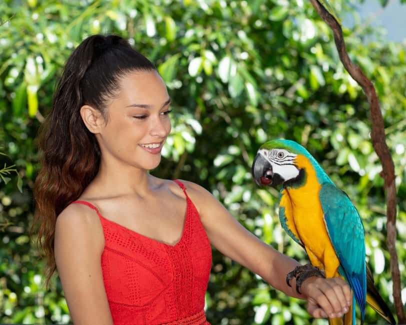 Bespoke Birdworld - An Intimate Experience! - The Value of the Experience
