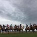Best 6-Day Gobi Tour Discover Mongolia - What It Means for You
