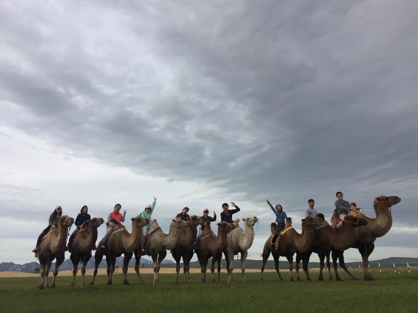 Best 6-Day Gobi Tour Discover Mongolia - What It Means for You