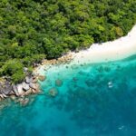 Best of Fitzroy Island Day Tour - The Experience from the Reviews