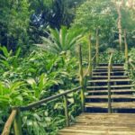 Best of Nadi Highlights - Practical Considerations and Value