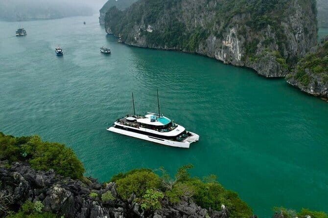 Best Selling Catamaran Cruise Premium Day Trip Explore Halong Bay - What Makes This Tour Stand Out?
