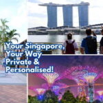 Best Singapore Private Customized Tour with a Local Guide - Itinerary Breakdown and Highlights