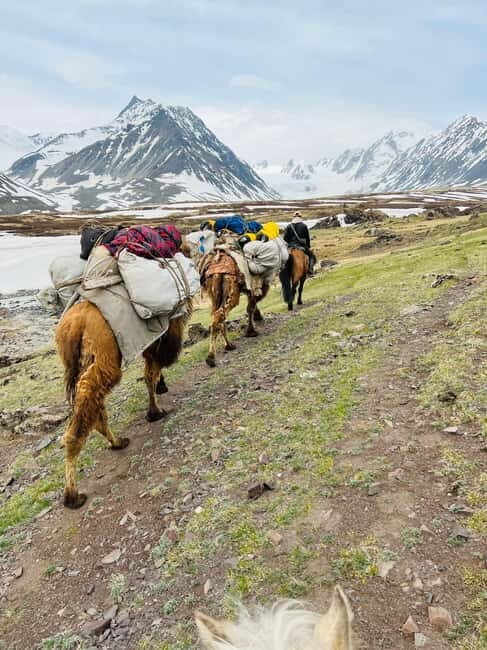 Best trekking tour in Mongolia - Exploring Mongolia’s Best Trekking Experience