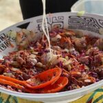Best Way to Interact with Ocean Wildlife with Lunch. 6H - The Value and Who Will Love This Tour