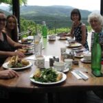 Beyond Byron Hinterland Tour - Who Would Enjoy This Tour?