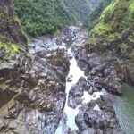 Beyond the Range - 30 minute Rainforest Scenic Flight - An Overview of the Rainforest Scenic Flight