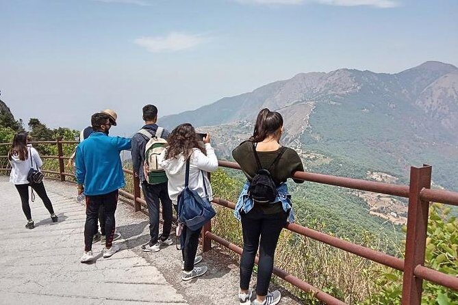 Bhadraj Forest Trek - What Makes This Trek Stand Out