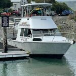 Bike Ferry Port Chalmers to Quarantine Island and Portobello, - Why This Ferry Is Worth Considering