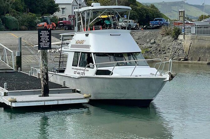 Bike Ferry Port Chalmers to Quarantine Island and Portobello, - Why This Ferry Is Worth Considering
