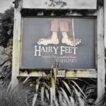 Bike Rental in Waitomo Caves - What to Expect from the Tour